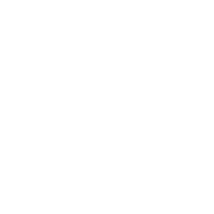 Crafting Fearless Brands Since 2013 - Intrepid Spirits